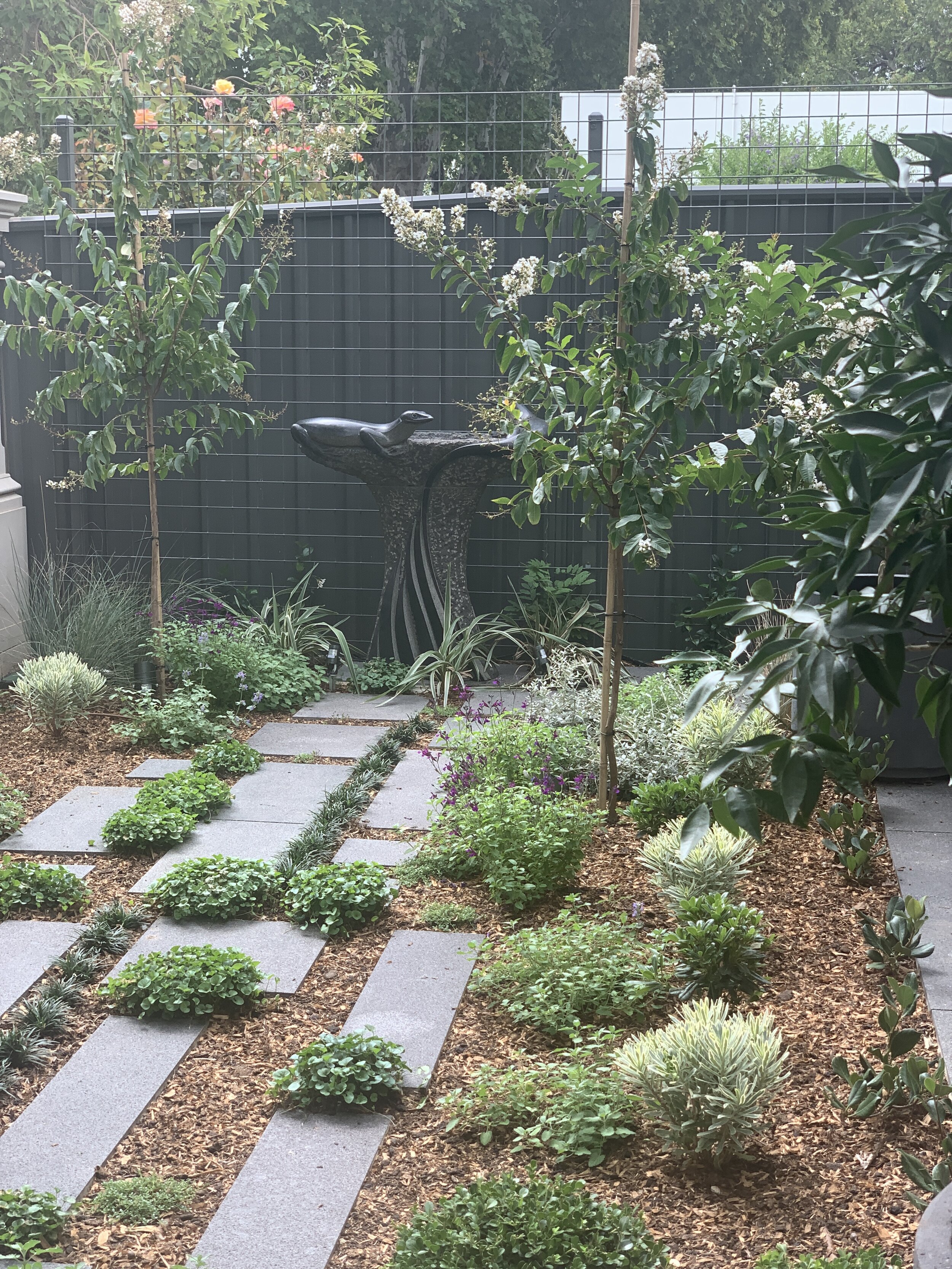 Garden Design Adelaide | Landscape Design Adelaide | Catnik Design Studio