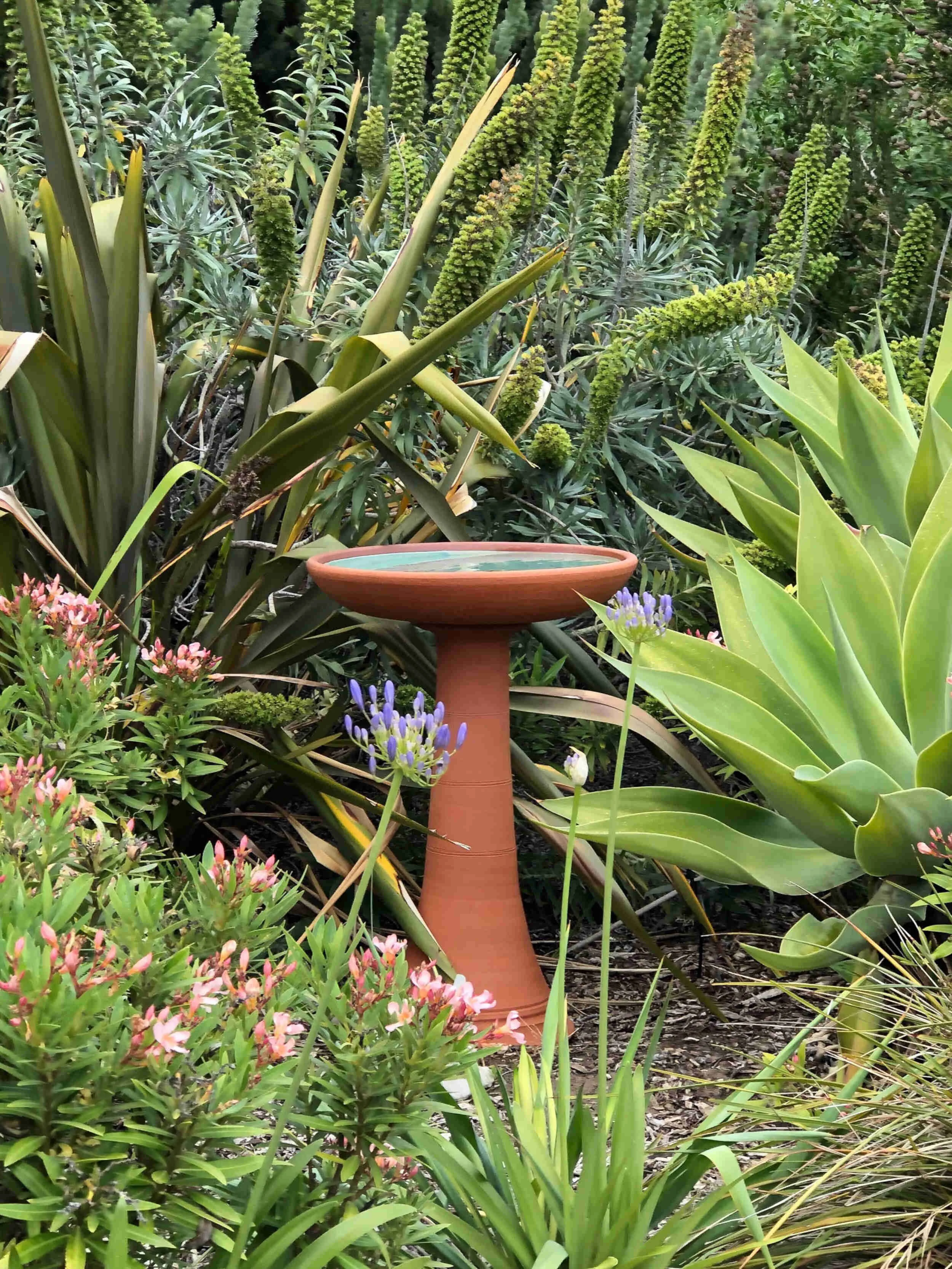 Garden Design Adelaide | Landscape Design Adelaide | Catnik Design Studio