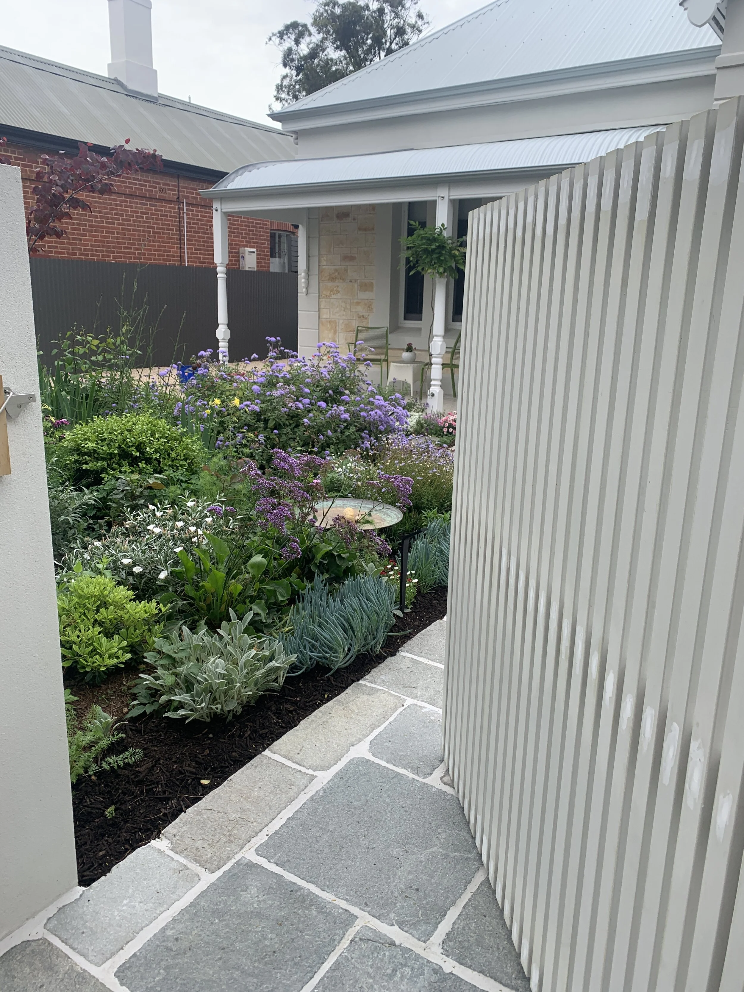 Garden Design Adelaide | Landscape Design Adelaide | Catnik Design Studio