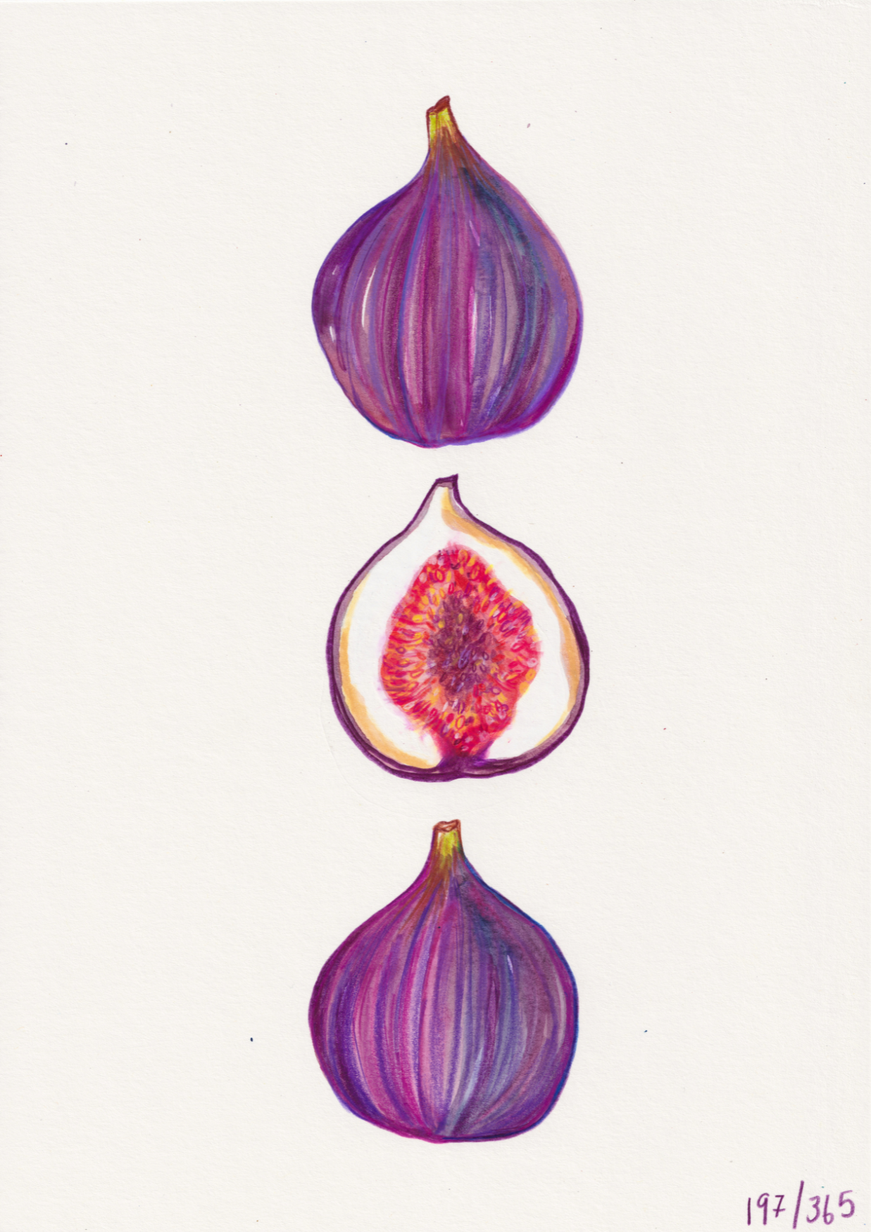 Day 197 — Jen Madden Art