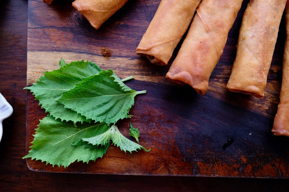 Rabbit Spring Rolls — Elevated Wild