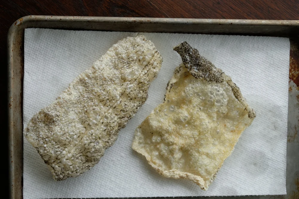 Fish Skin Cracklins — Elevated Wild