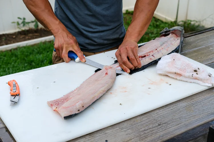 How to fillet a snakehead — Elevated Wild