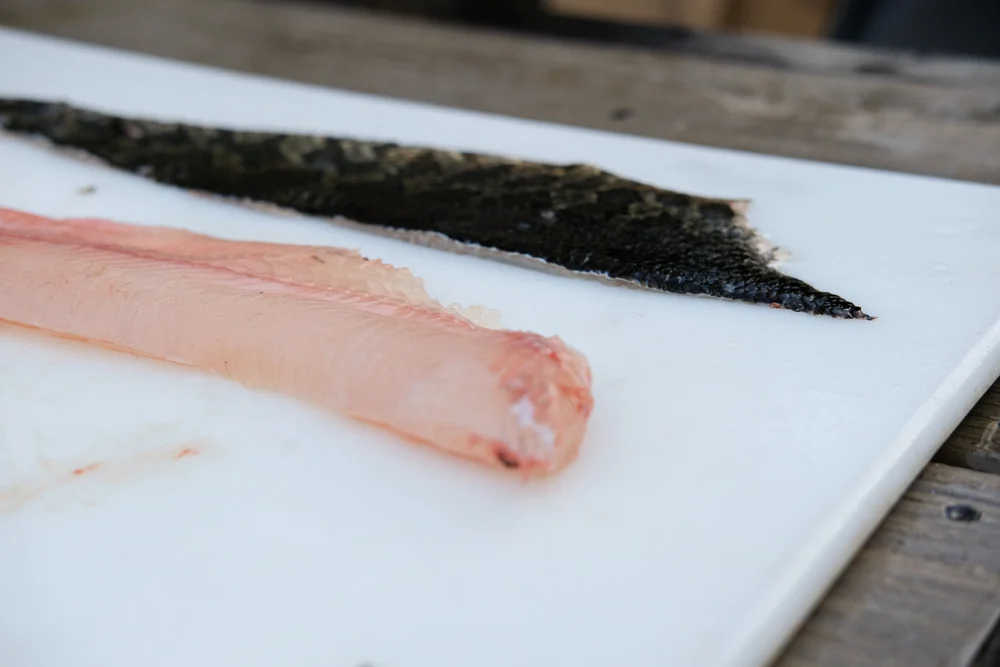How to fillet a snakehead — Elevated Wild
