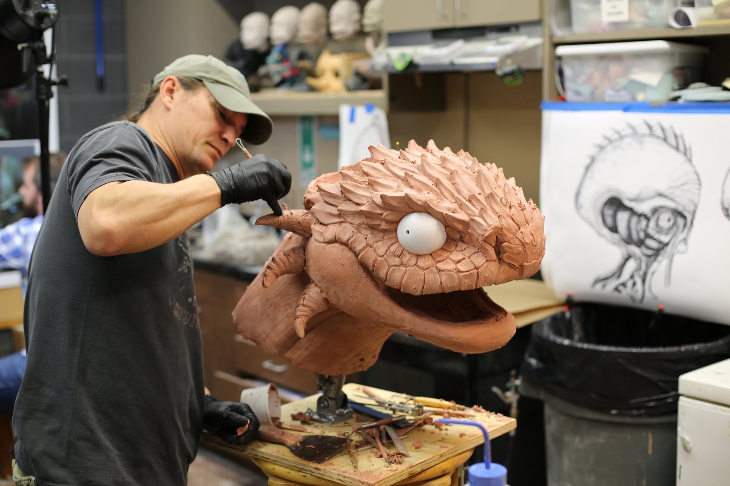 Our Projects — Animax Designs