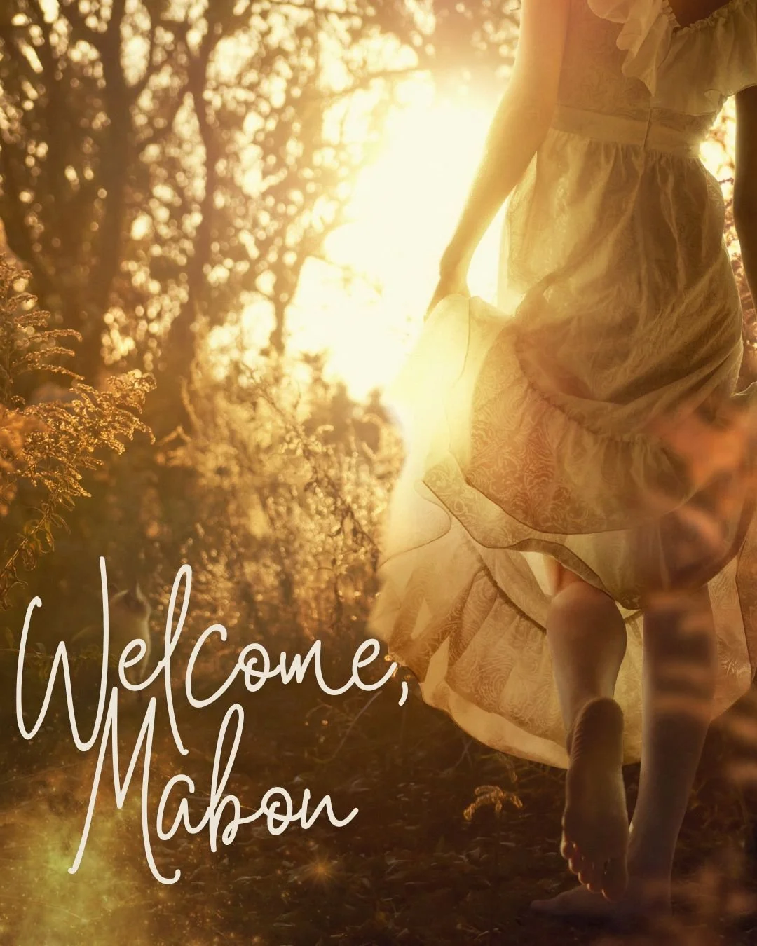 Pixie Perspectives — The Salted Pixie