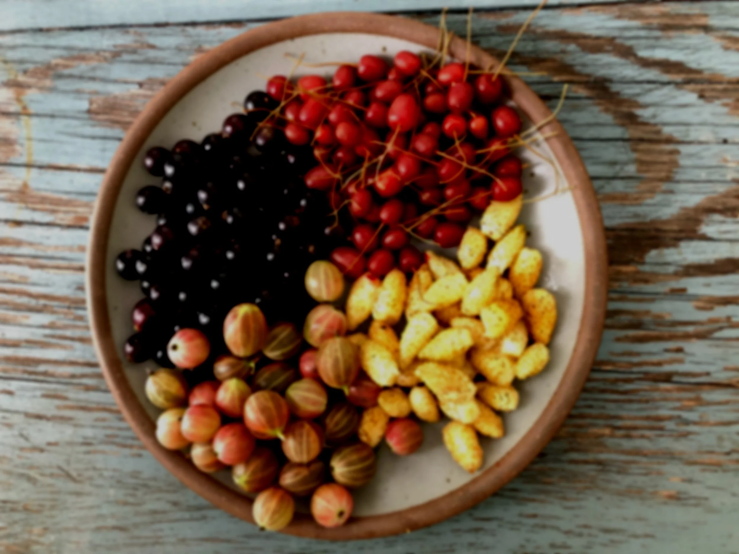 Edible Landscapes | Custom Foodscapes