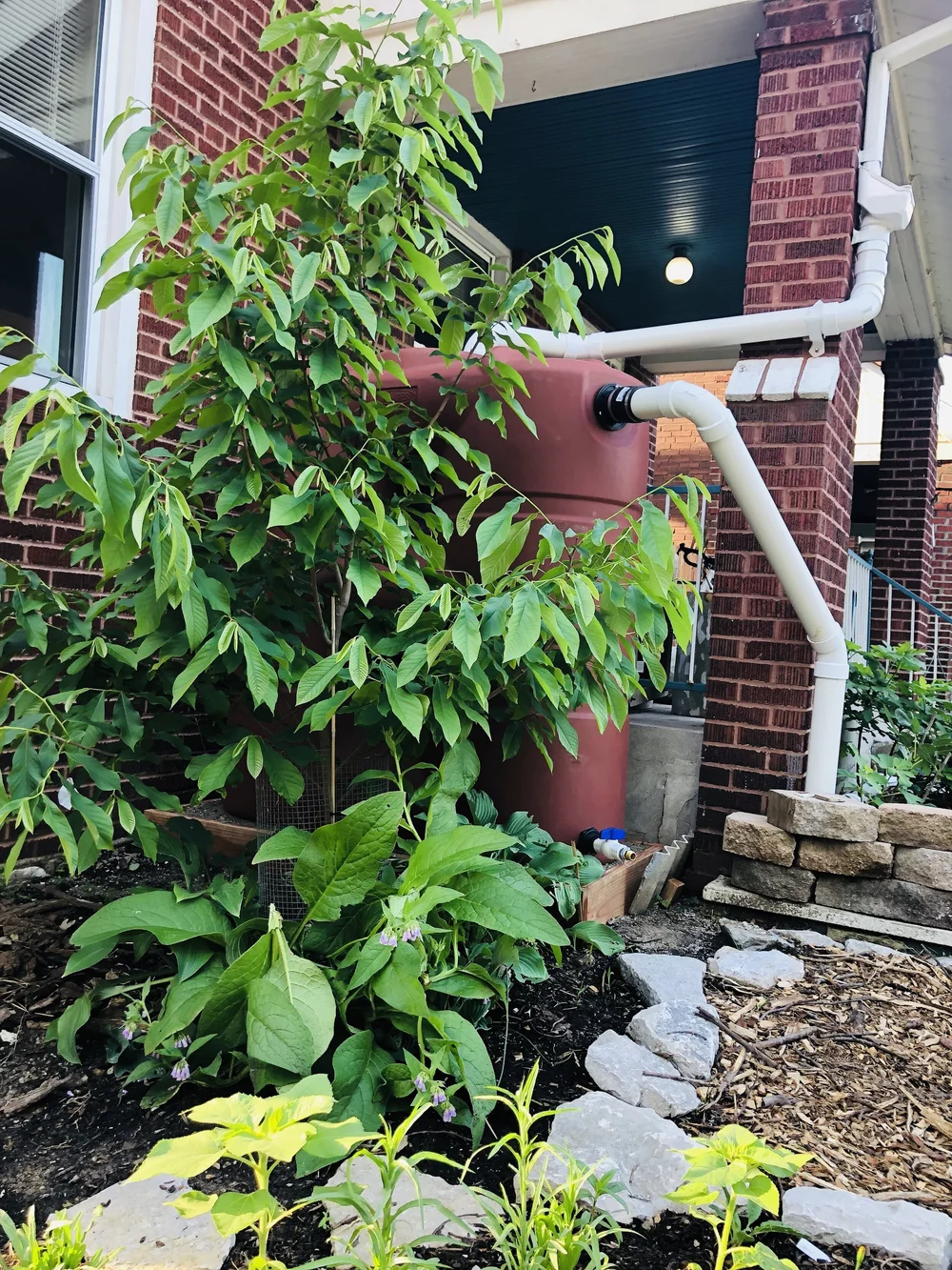 Rainwater Management | Custom Foodscapes