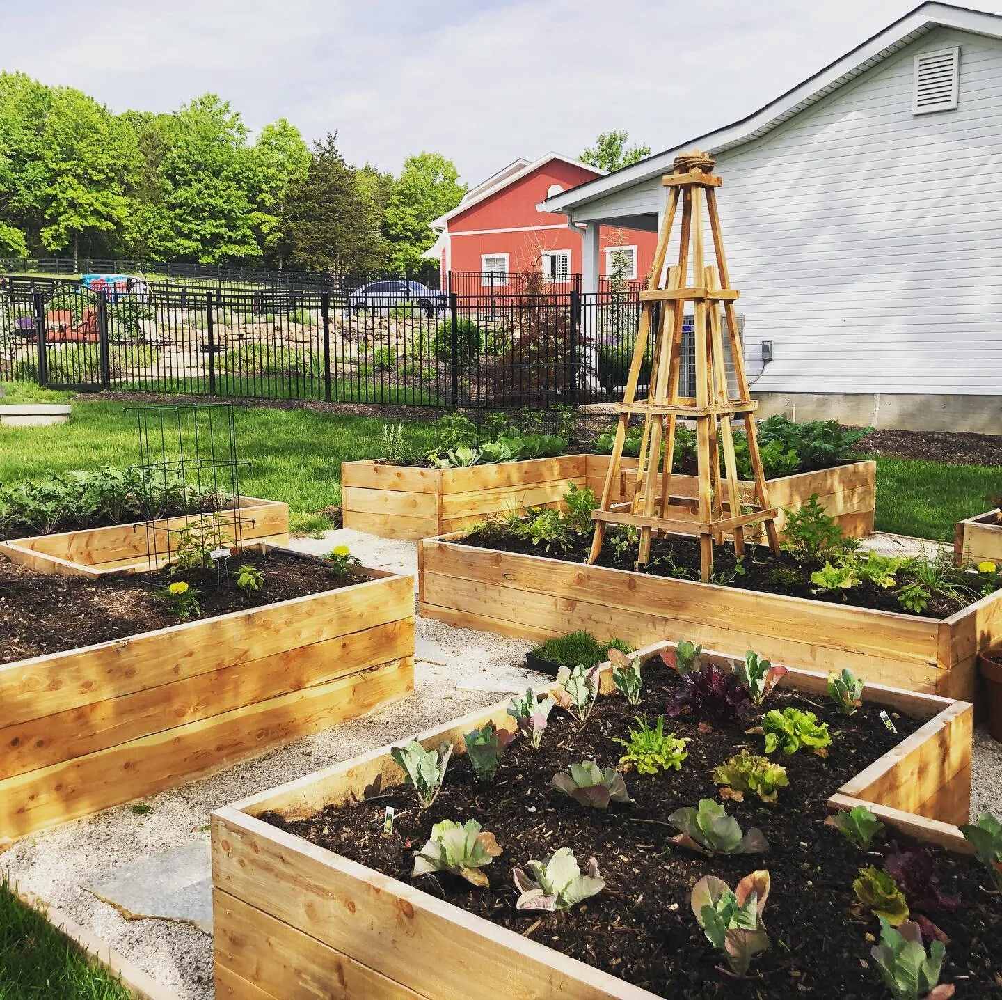 Custom Foodscapes | Greater St. Louis