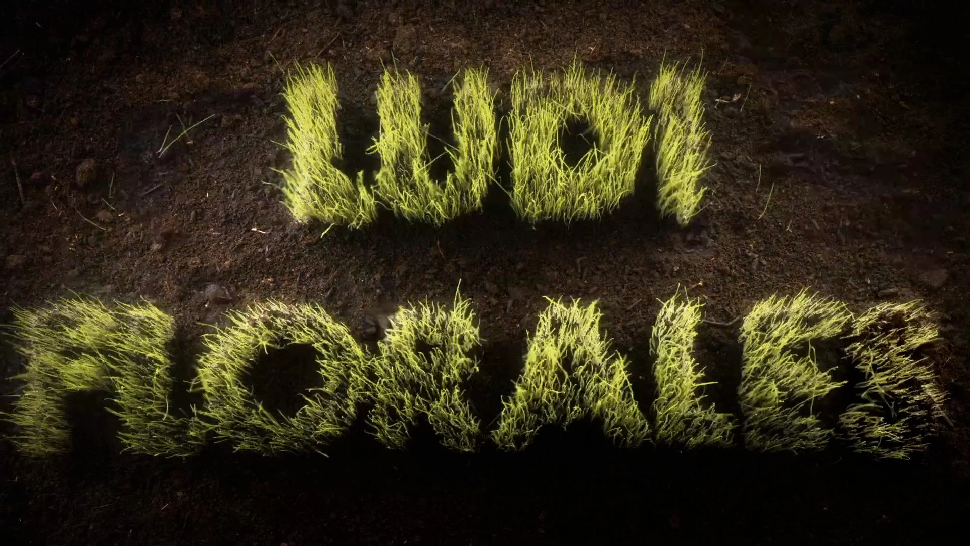 LUDI FLORALES — ALESSANDRO BAVARI - Visual Artist