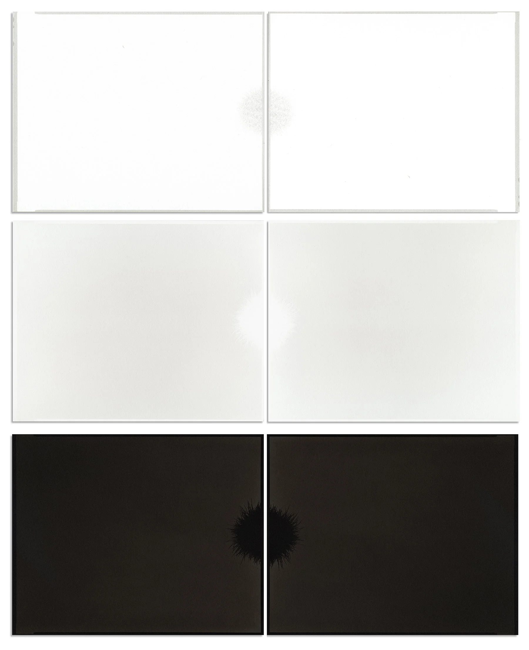 half blind (2018-present) — scott b. davis