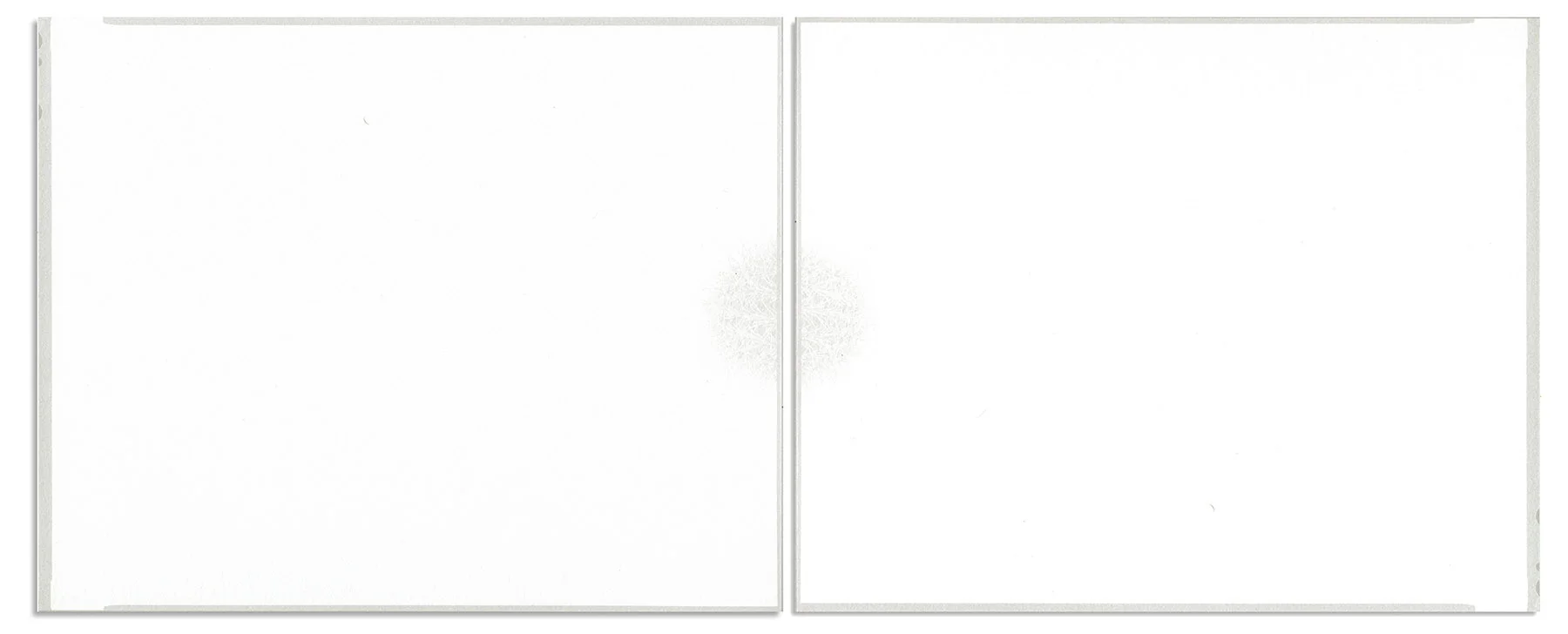 half blind (2018-present) — scott b. davis