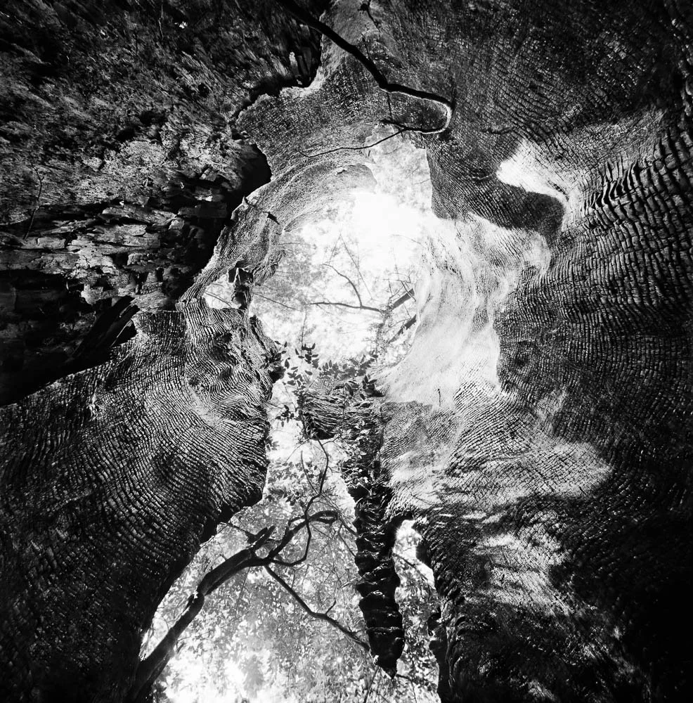 The SPACE Art Gallery — Photography Exhibits