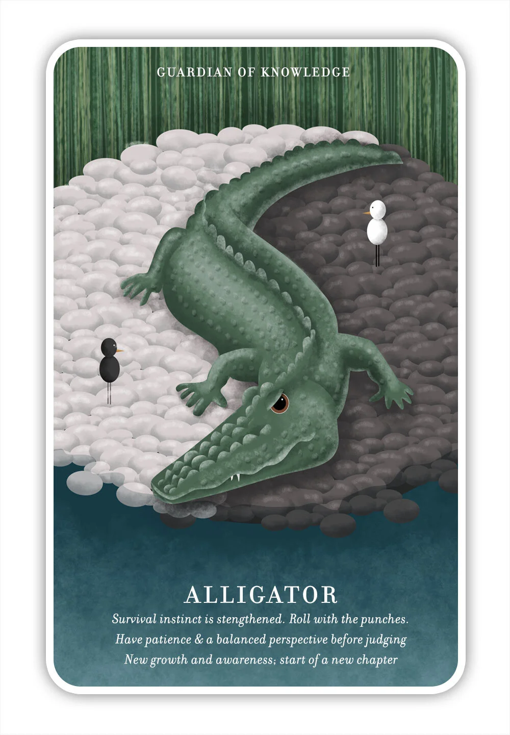 New Animal Medicine Card: Alligator — Betsy Lyon