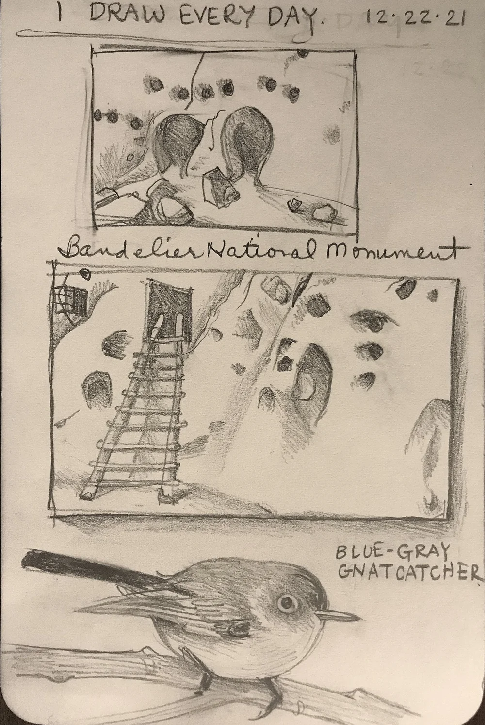 I draw every day. — Betsy Lyon