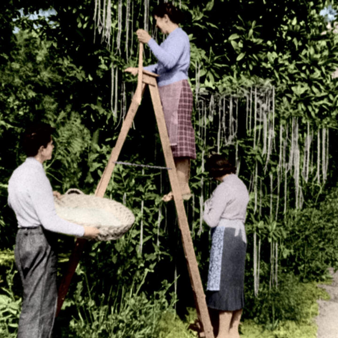 Photos — The Sicilian Pantry