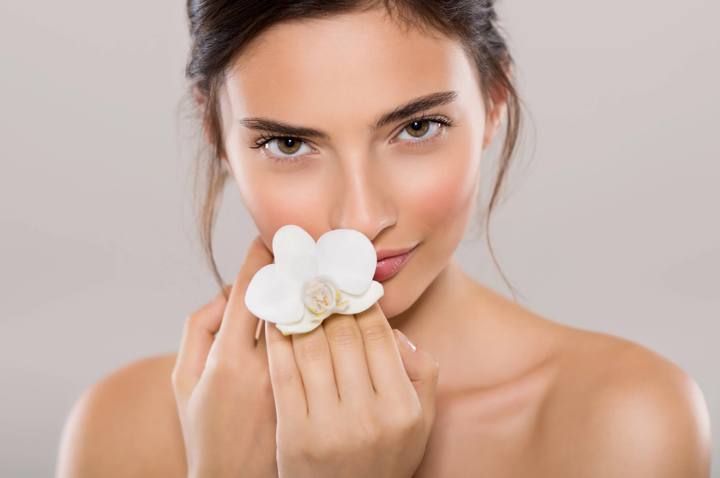 BOOK ONLINE — Tivoli Rose