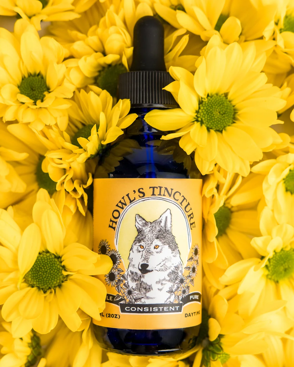 Howl's | Plant Medicine For People | Cannabis Tinctures