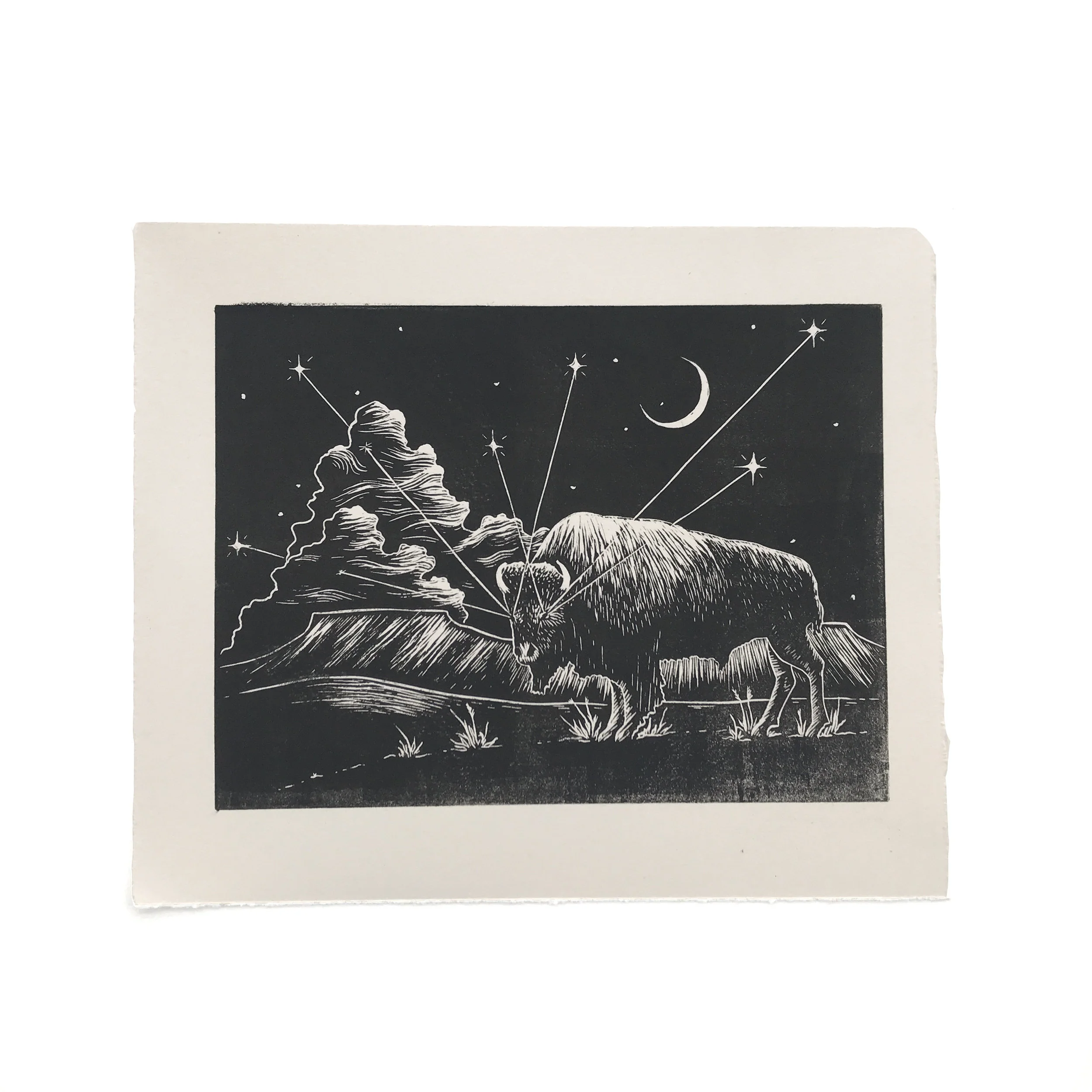 Of Course Bison
