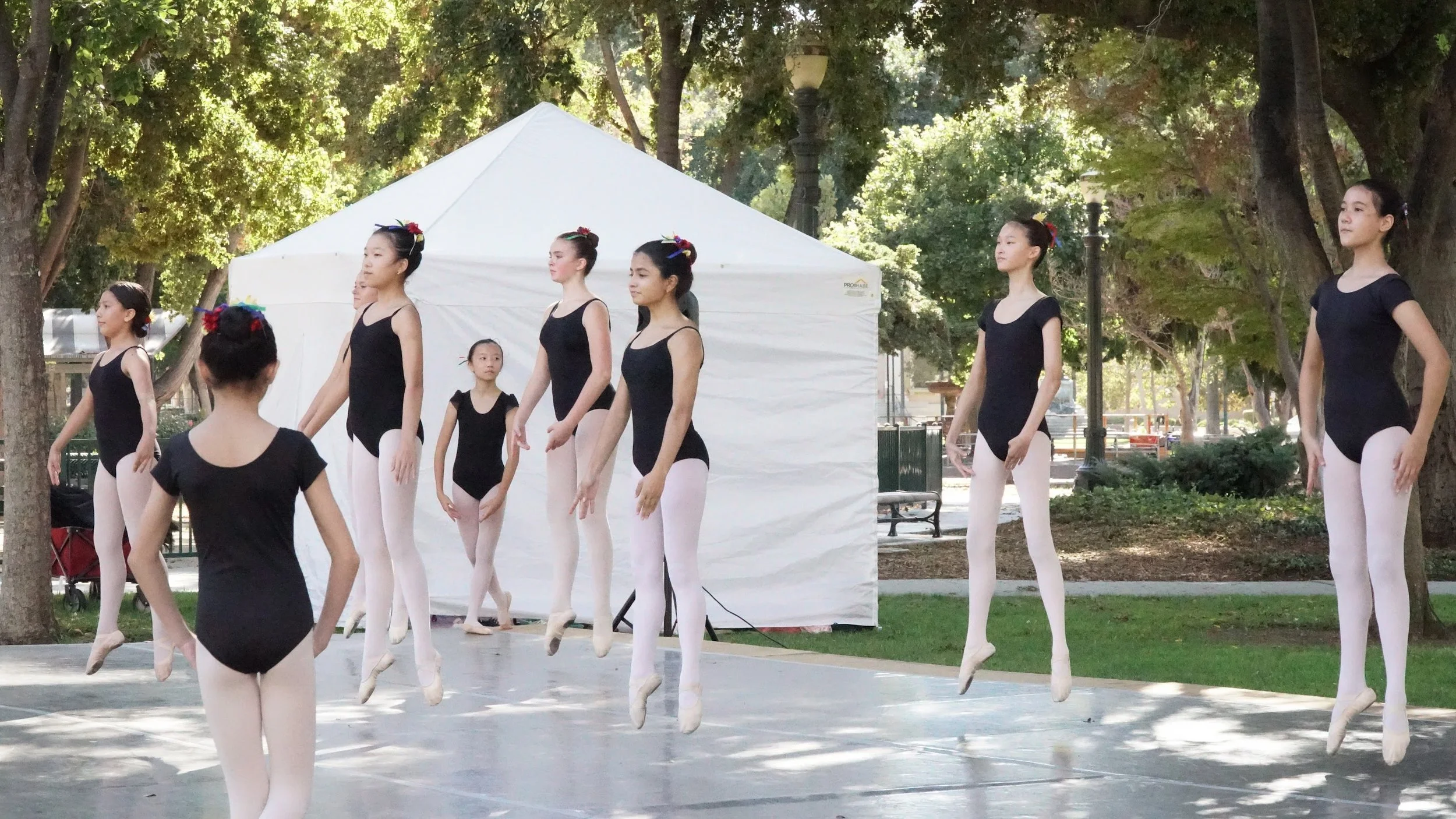 Summer Intensive | New Ballet