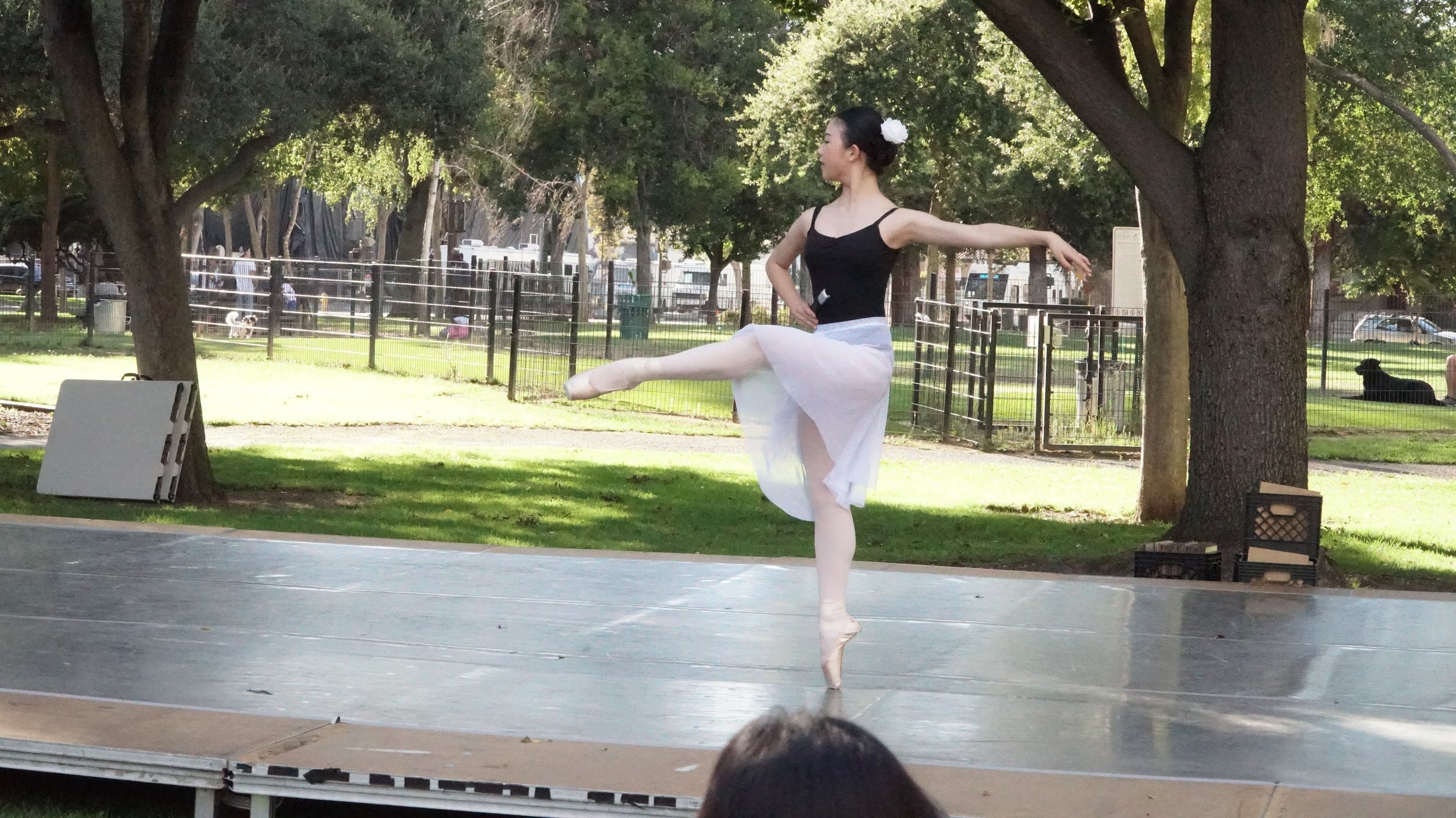 Summer Intensive | New Ballet