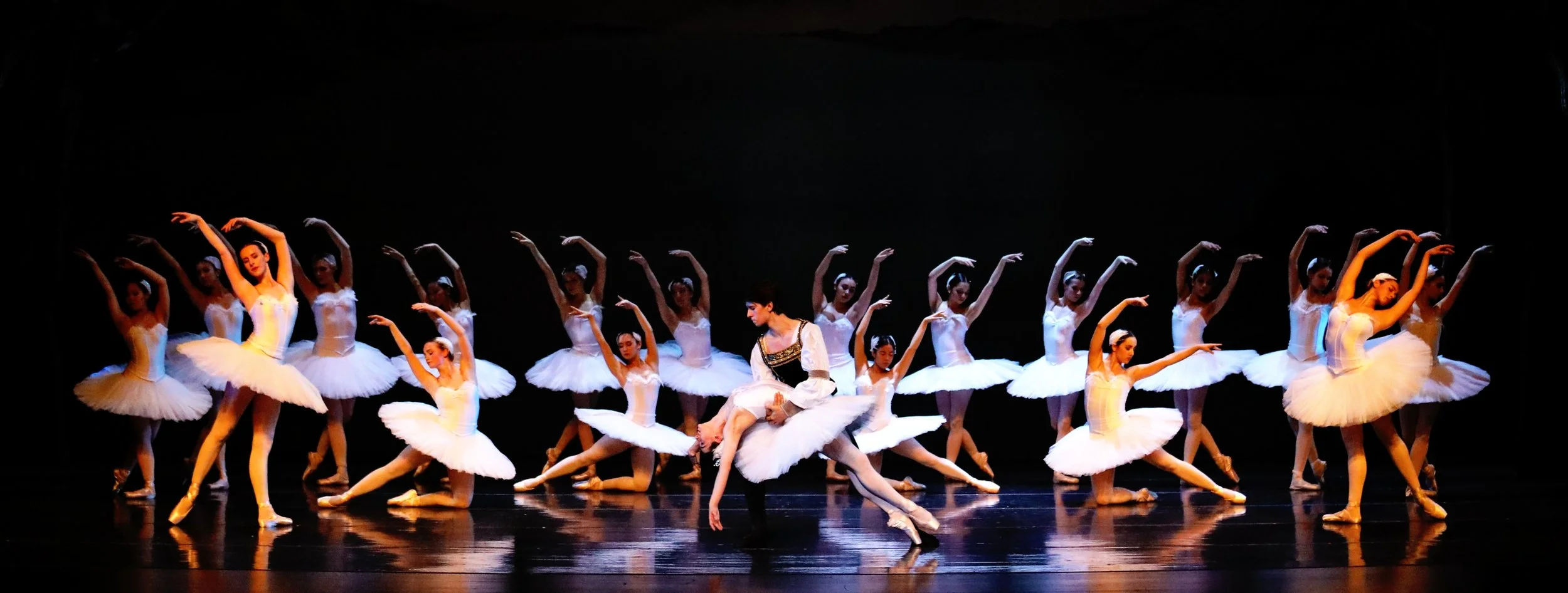 Prelim Swan Lake Advanced | New Ballet