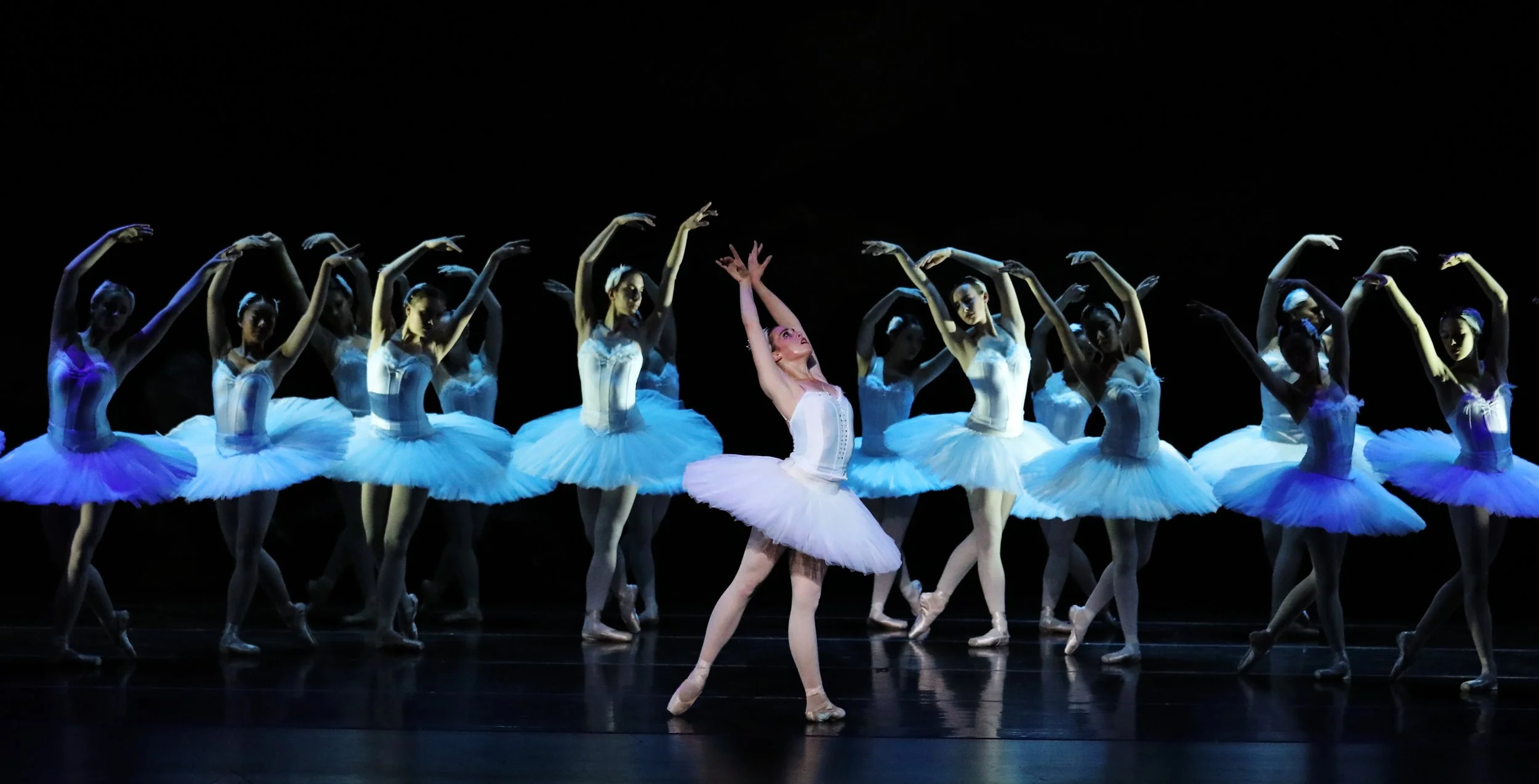 My Very First Ballet | New Ballet