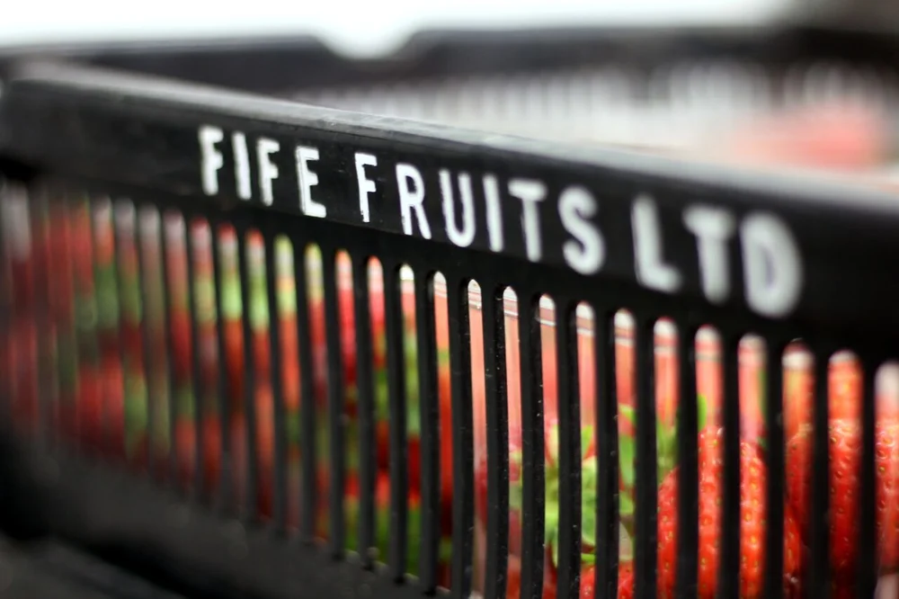 About Us — Fife Fruits