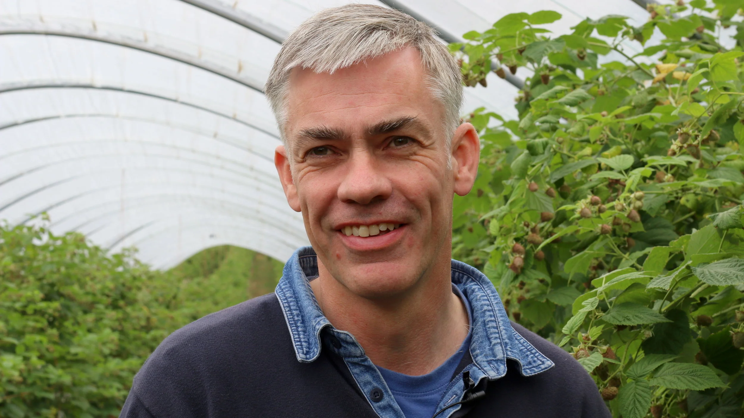 Work For Us — Fife Fruits