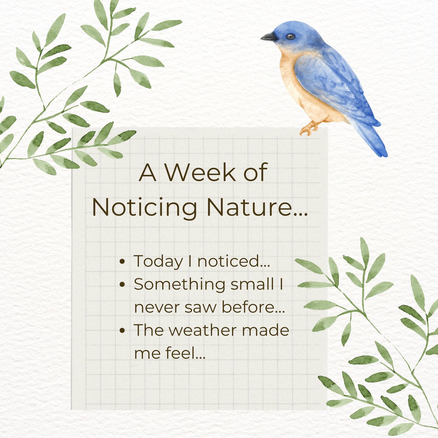 A Week of Noticing Nature — Growing Routes