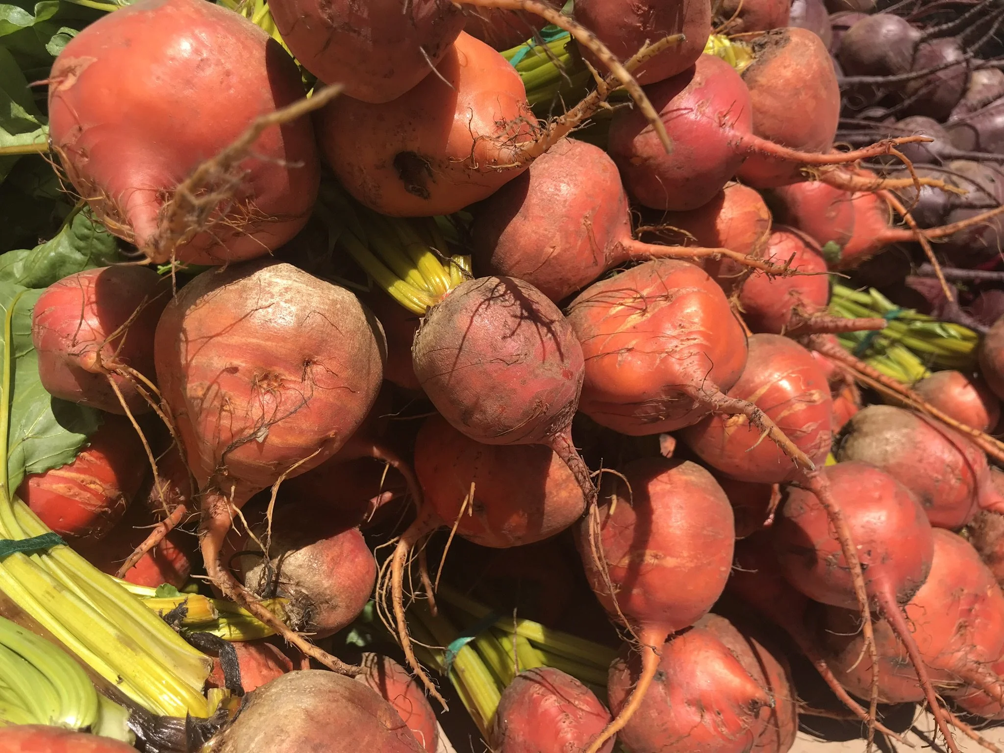 Belmont Farmers’ Market, a project of the Belmont Food Collaborative