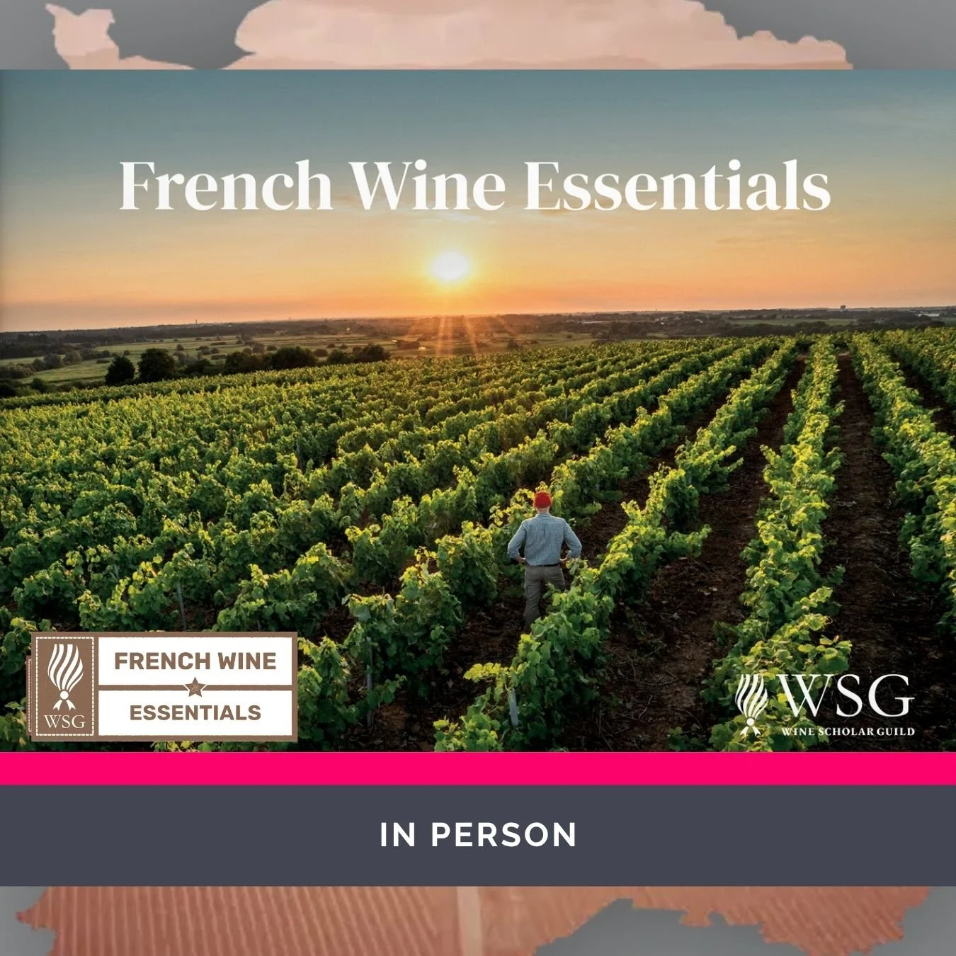 French Wine Essentials - In Person — Virginia Wine & Spirits Academy