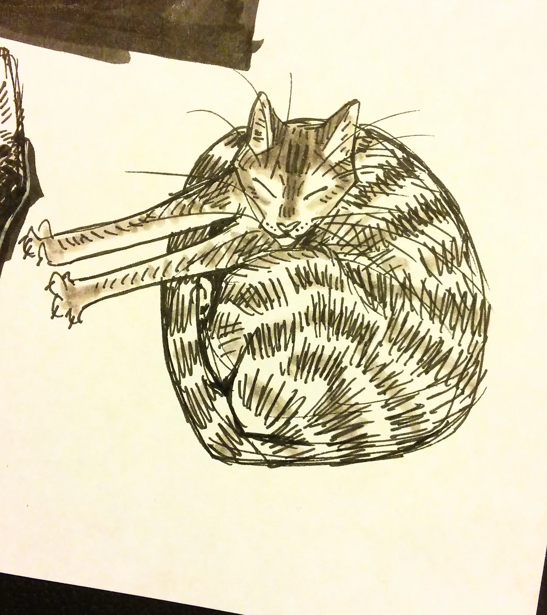 Gallery — Jaimie Whitbread