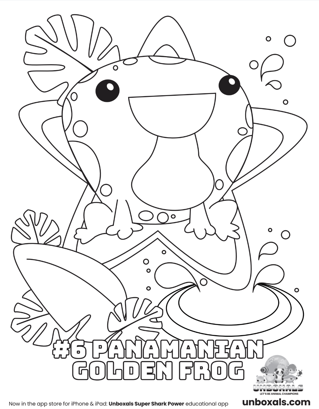 Panamanian Golden Frog Drawing