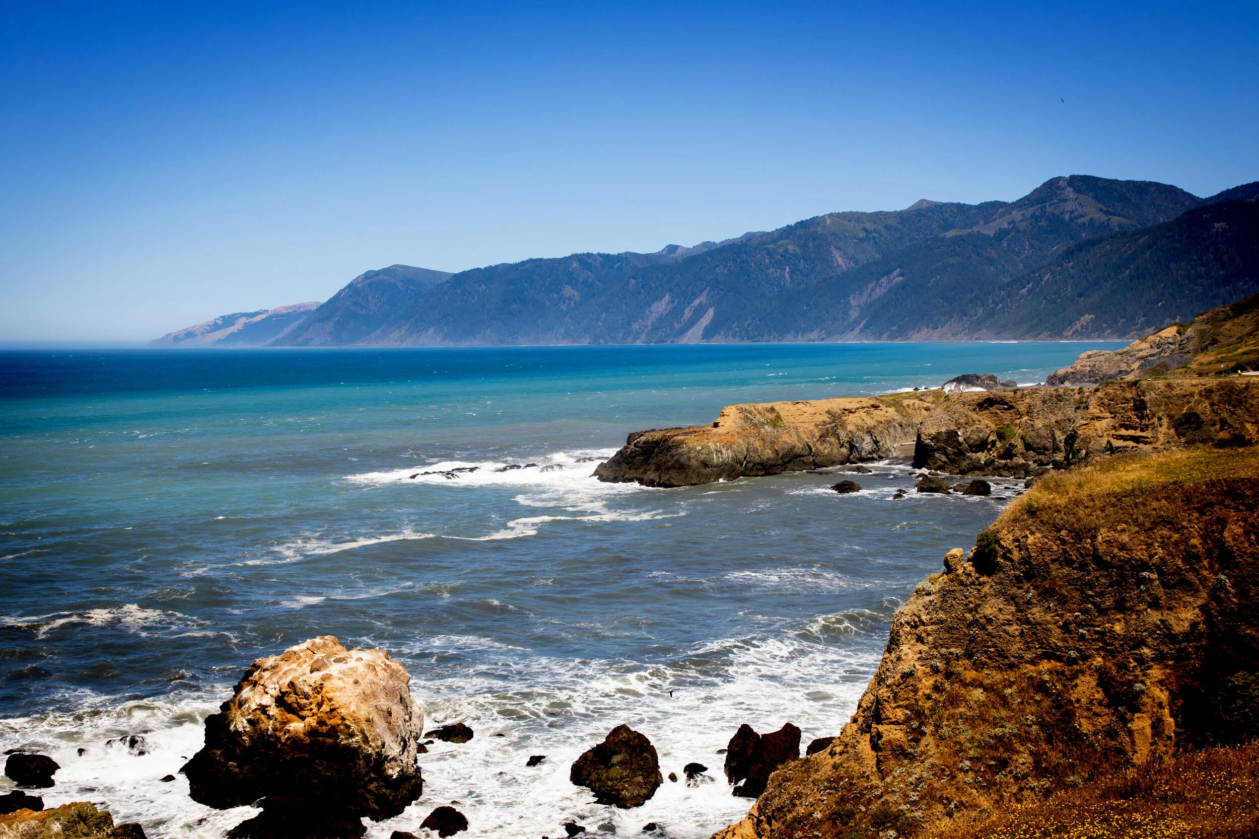 Visit the Lost Coast