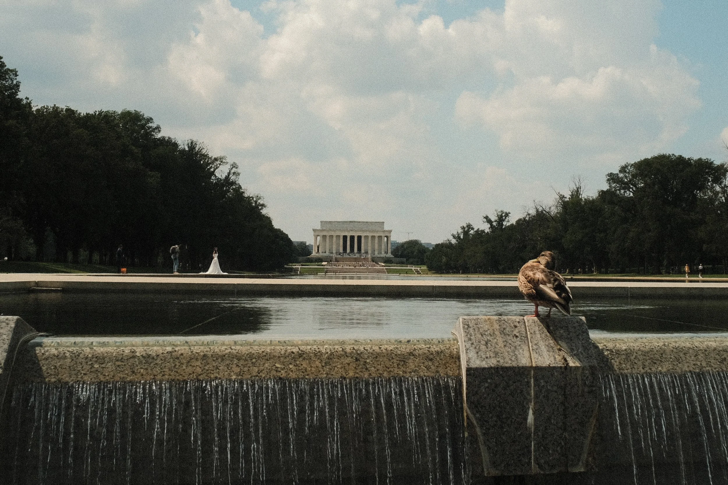 August // September 2022 Streetcap — Joe Jasper Photography