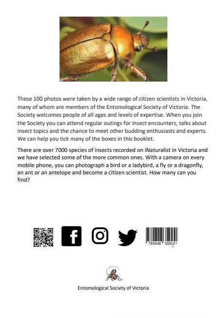 100 Common INSECTS of Victoria — Martin's Butterfly World