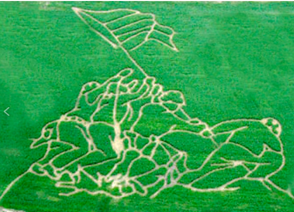 The Ultimate Directory of Maze and Labyrinth Builders: The Top 13 ...