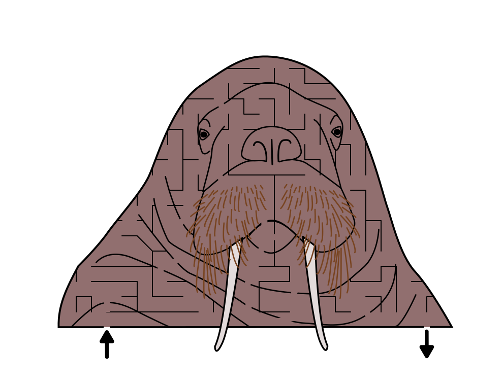 Animal Mazes - A look at various wild and exotic Animal Mazes — Free ...