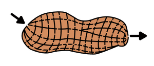 Peanut Mazes for Kids — Free Printable Mazes for All Ages