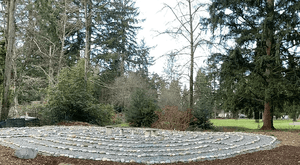 10 Labyrinths to Visit in Washington — Free Printable Mazes for All Ages