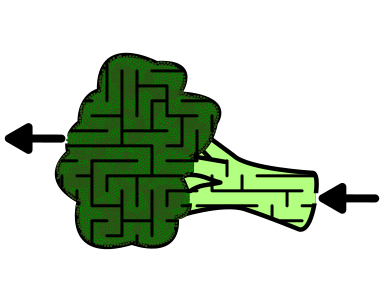 Fruits and Vegetable Mazes - A Collection of Mazes to Make you Hungry ...