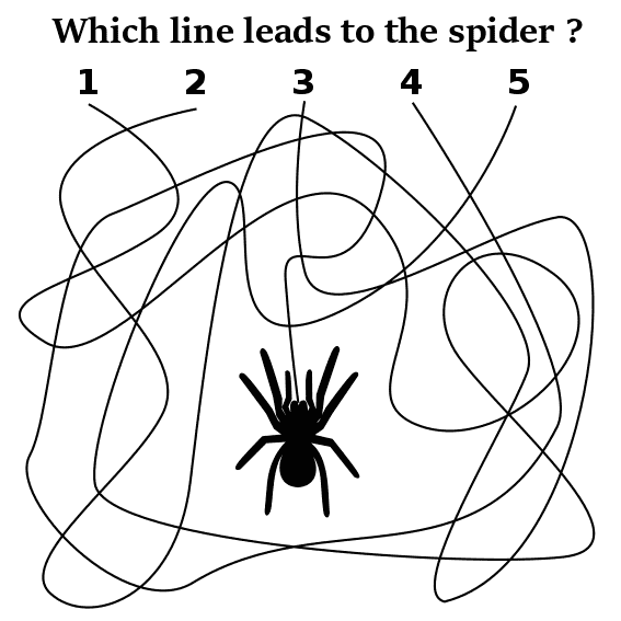 Maze Construction - 5 Maze Design Decisions Make All the Difference ...
