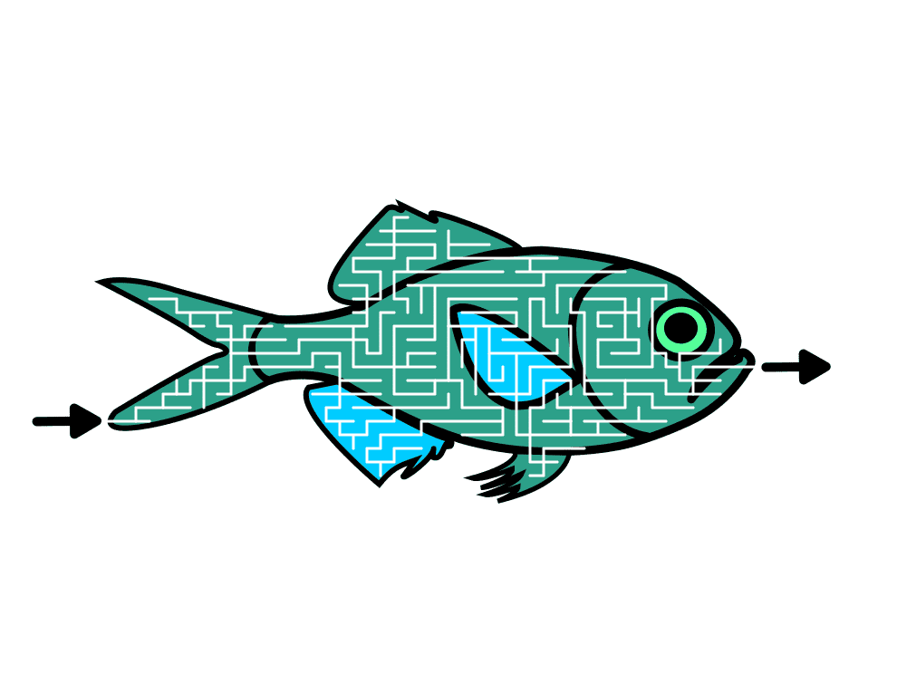Fish Maze for Kids — Free Printable Mazes for All Ages