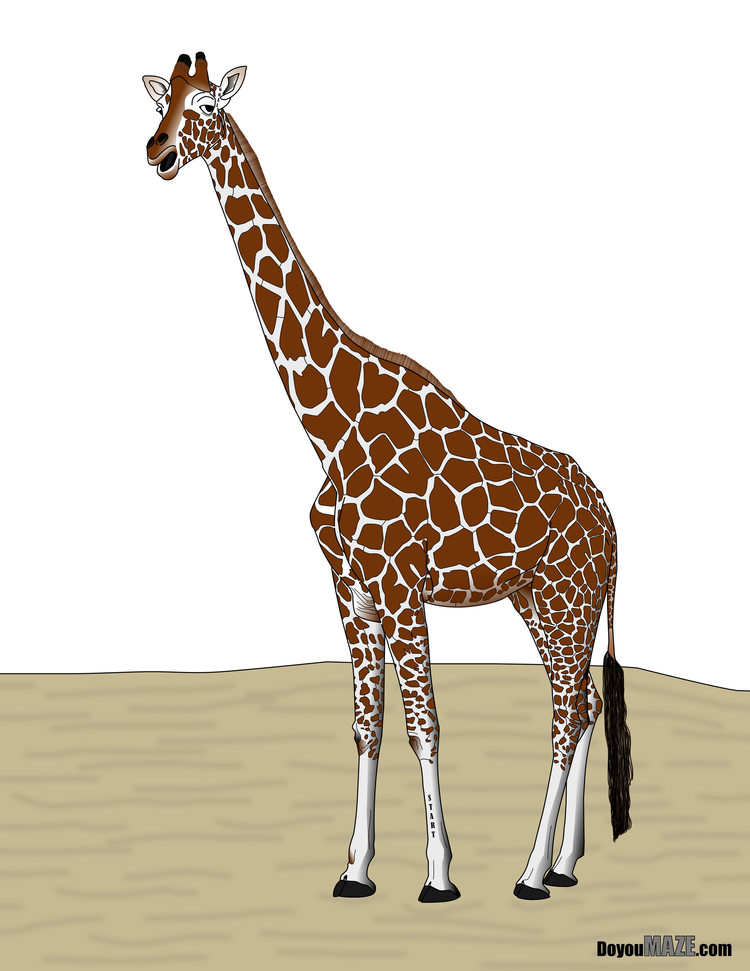 Giraffe Maze - Maze artwork — Free Printable Mazes for All Ages