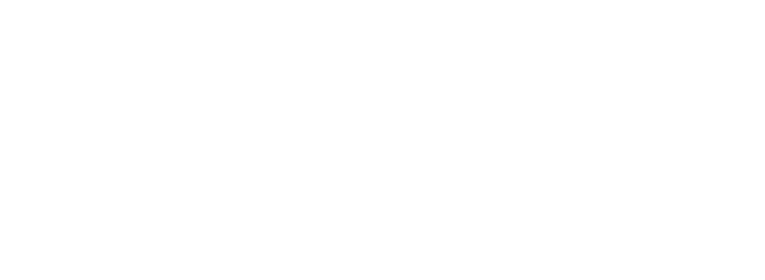 Nicole Brachetti Peretti Collection