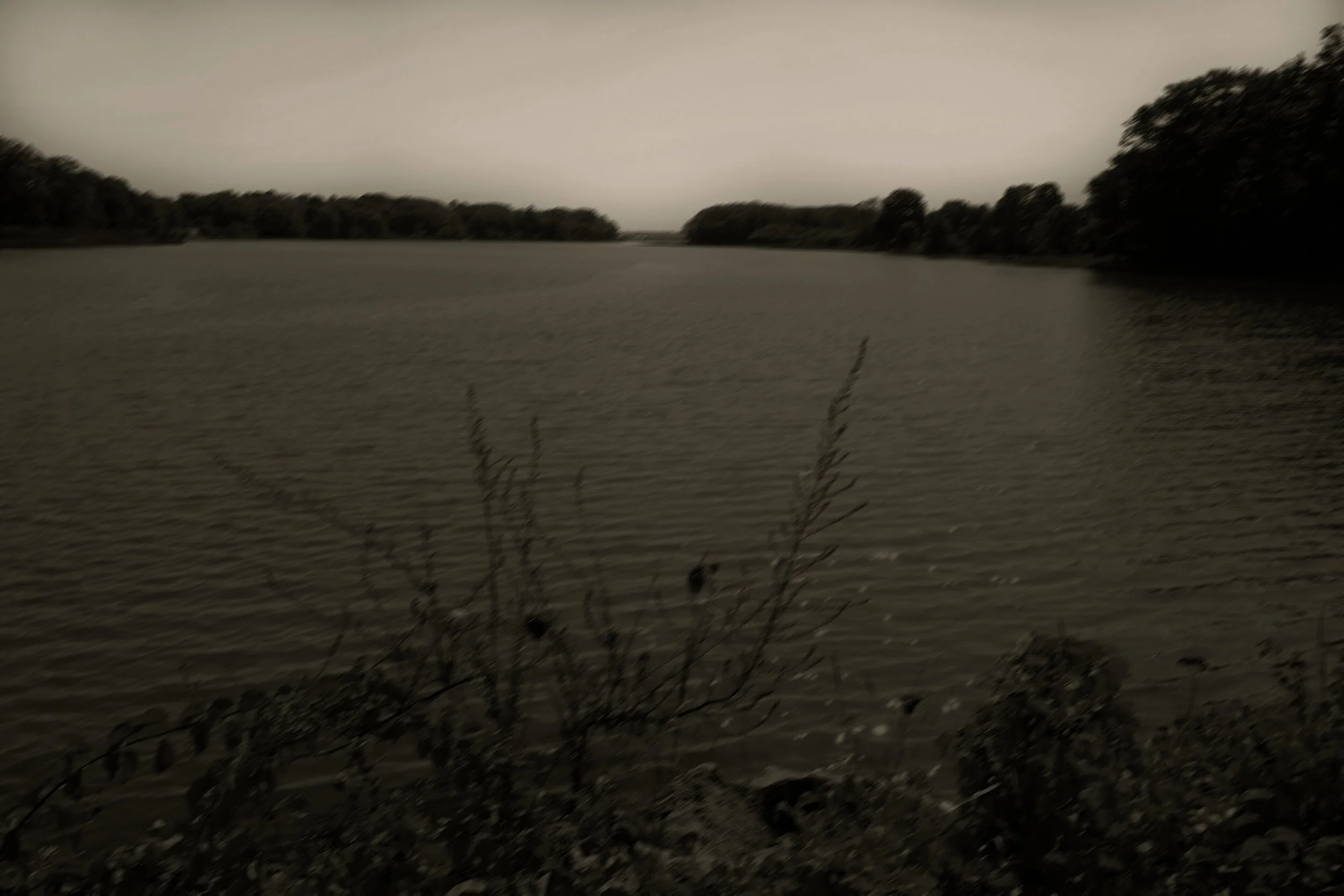 Fore River — Amy Bellezza