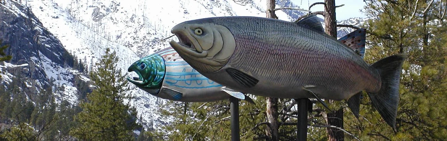 Our Story — Icicle Fund