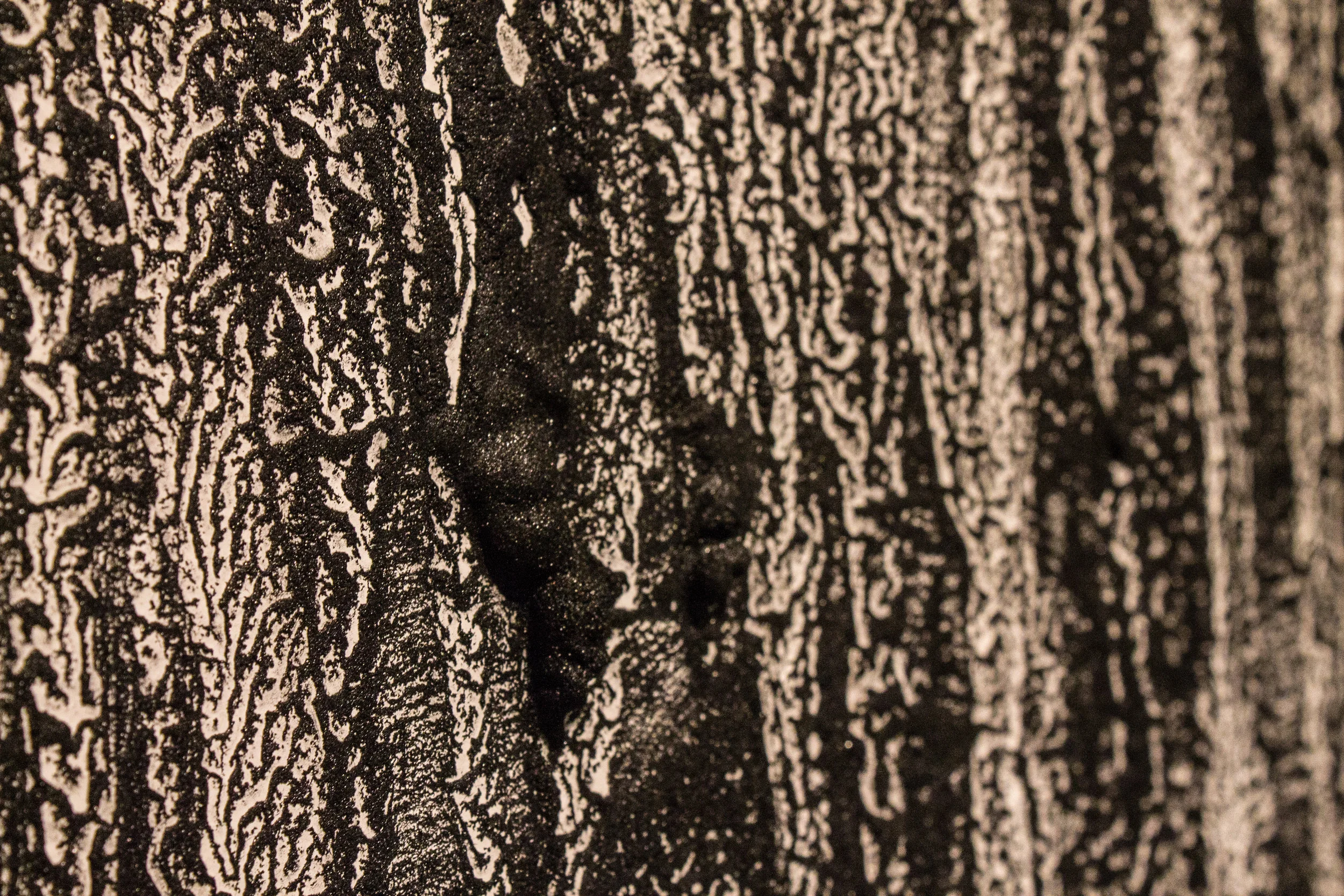 Pine (ink) — J.P. Snyder