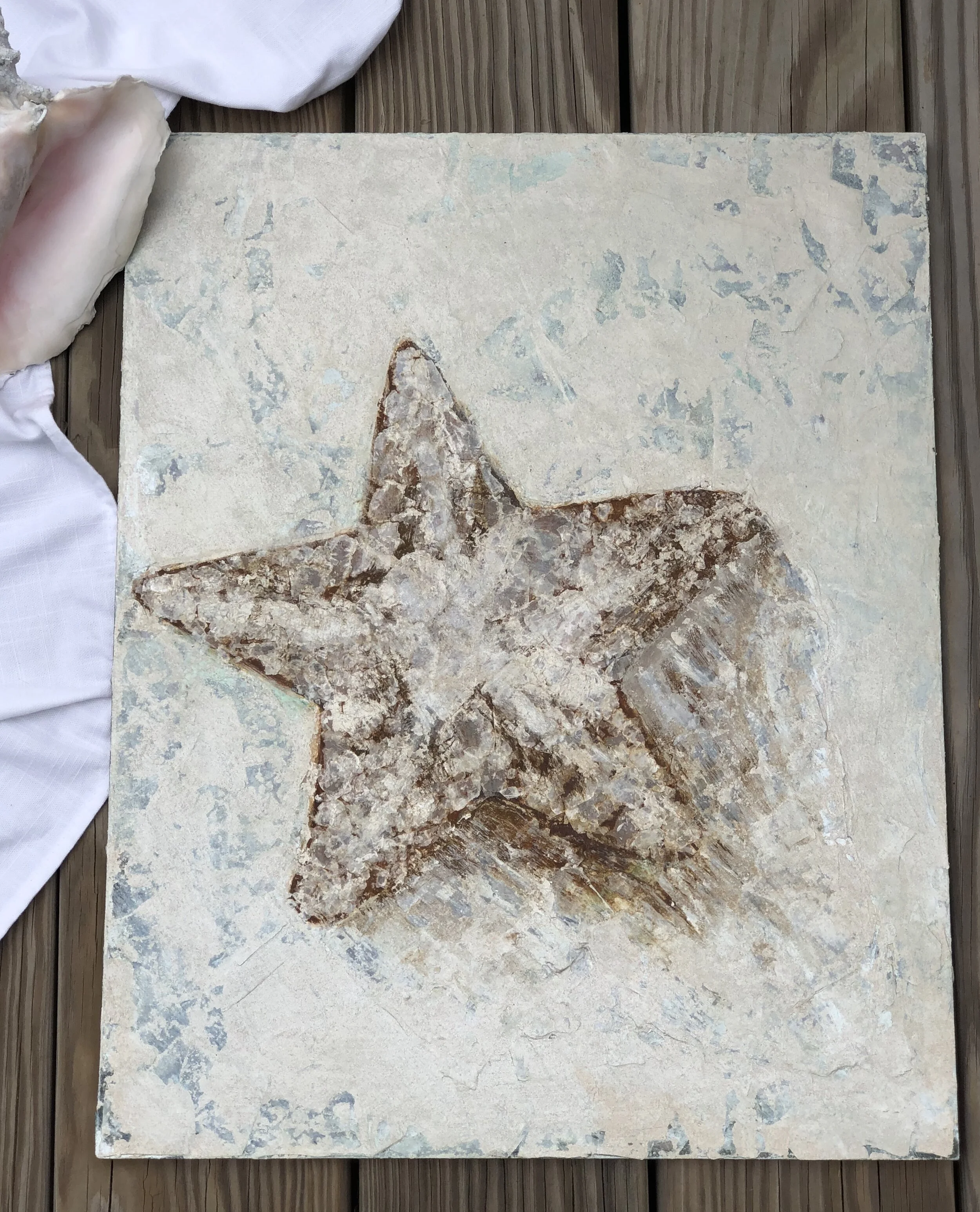 Sandbar Starfish — Paige Sisk